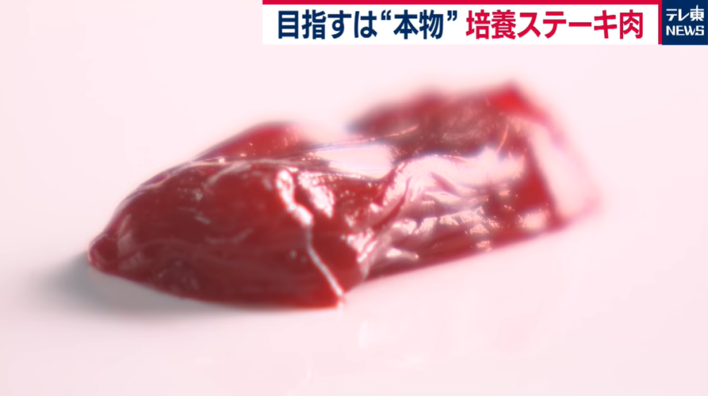 Japan developing realistic cultured steak meat | | Muslim Tourist ...