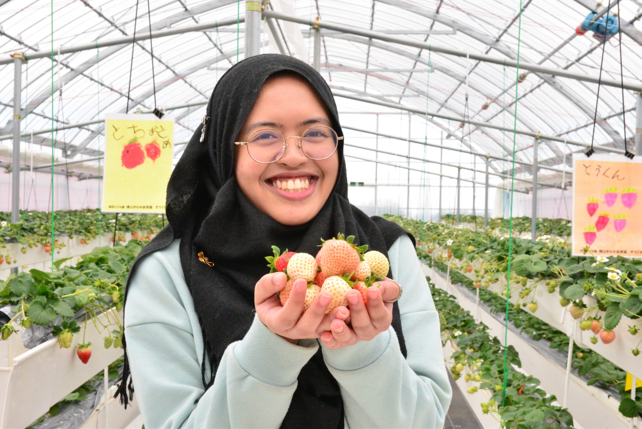 Japan's Rare Strawberry with Rich Peach Taste?! | | Muslim Tourist ...