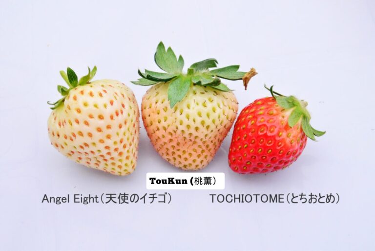 Japan's Rare Strawberry with Rich Peach Taste?! | | Muslim Tourist ...