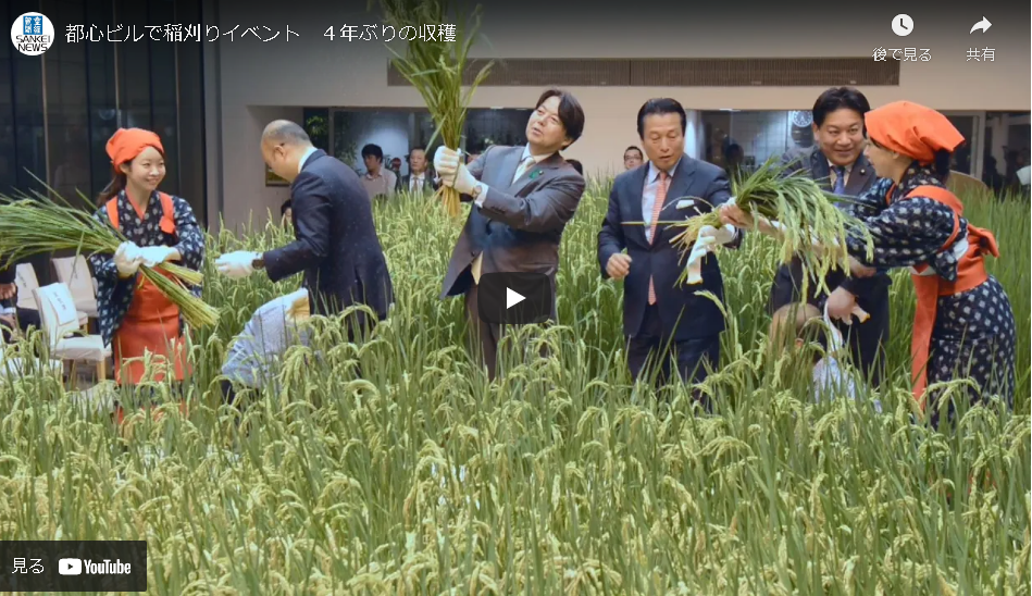 Rice planting in a building? In Tokyo central | | Muslim Tourist ...