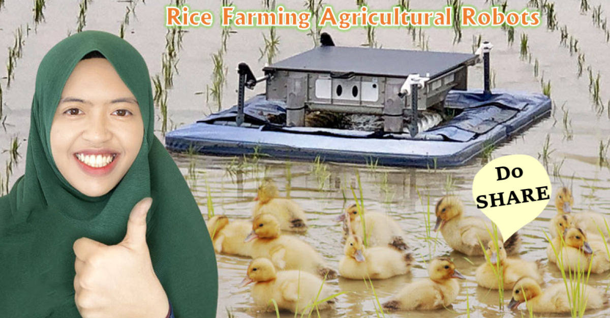 How will robots rescue Japanese agriculture? | | Muslim Tourist ...