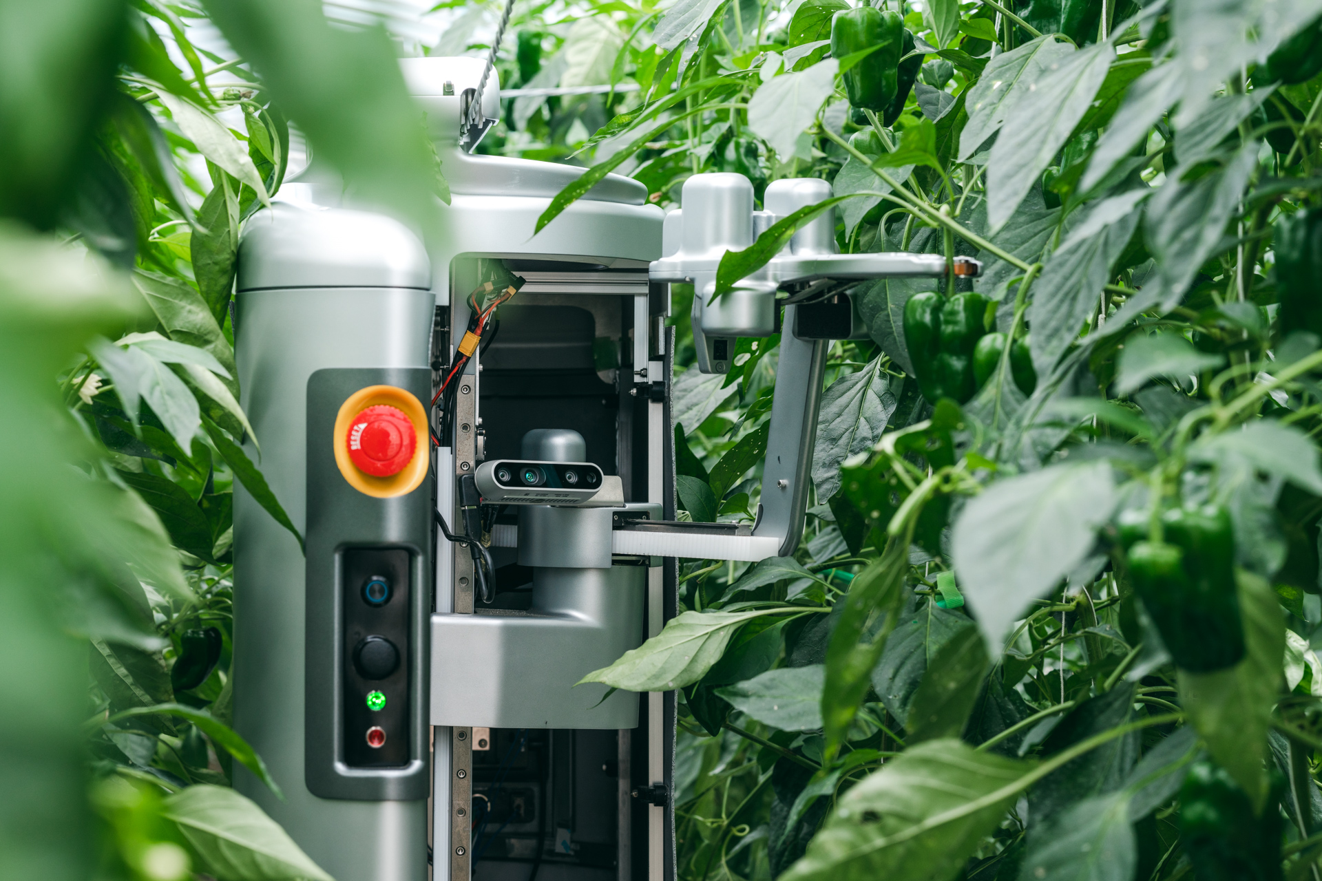 An automatic pepper harvesting robot in Japan | | Muslim Tourist ...