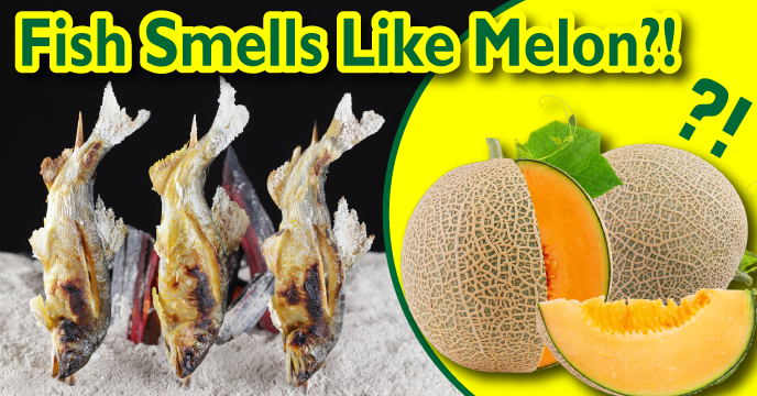Watermelon-scented Ayu fish marks Japan summertime | | Muslim Tourist ...