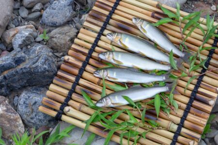 Watermelon-scented Ayu fish marks Japan summertime | | Muslim Tourist ...