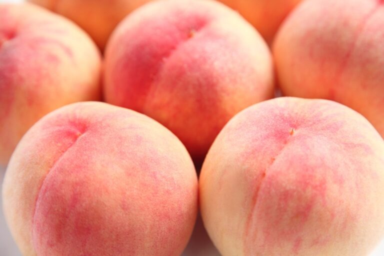 Sweet & Juicy! Japanese peach in season now | | Muslim Tourist ...
