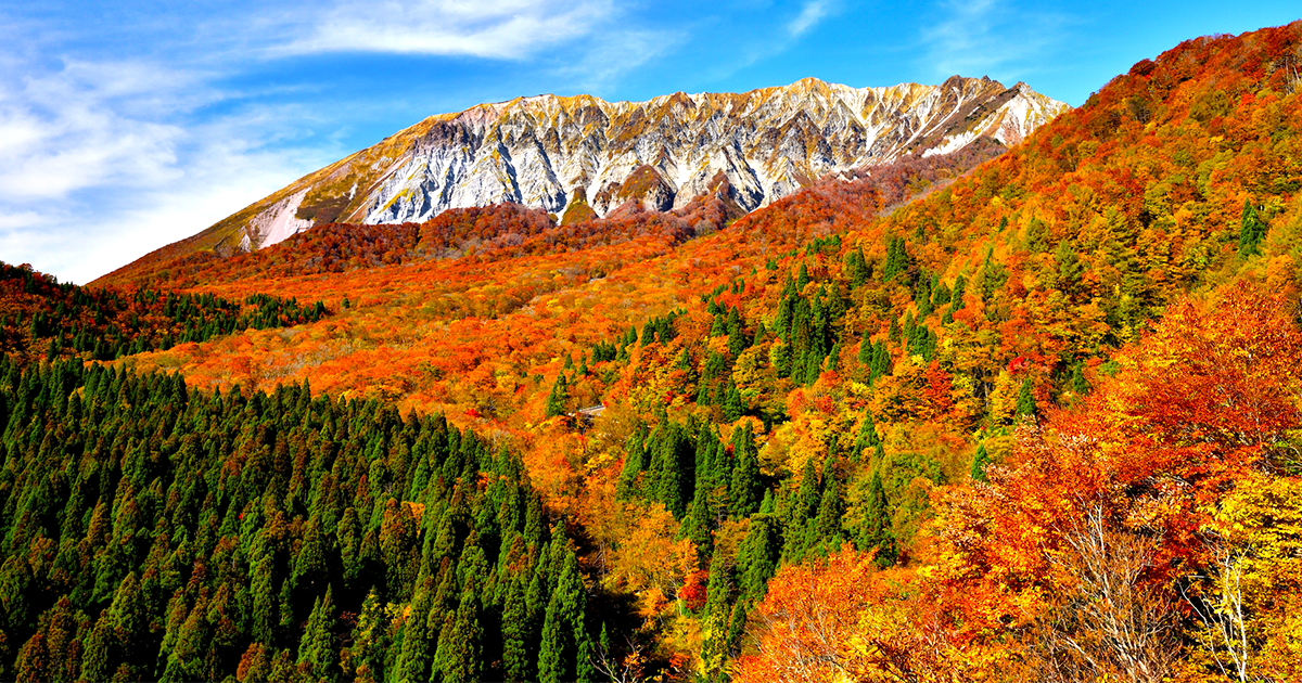 Mt. Daisen in western Tottori covered in "Seven Colours" | | Muslim Tourist Information Centre