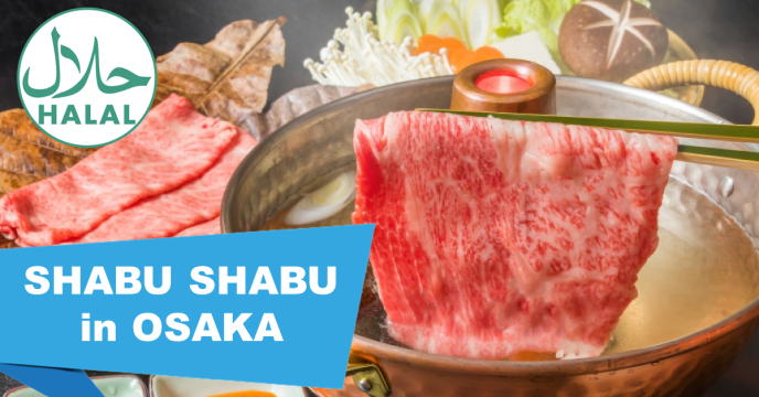 Halal shabu-shabu set meal & Osaka soul food at Asian Spicy Diner 585 ...